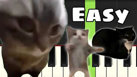 3 Famous Cat Memes Easy Piano Tutorial Youtube