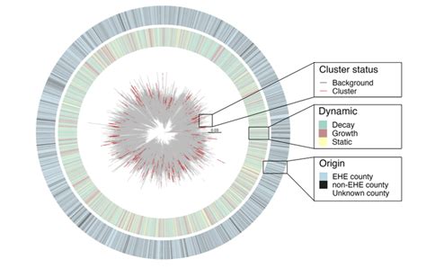 Florida Hiv 1 Subtype B Pol Sequence Phylogeny 2012 2017 The Maximum