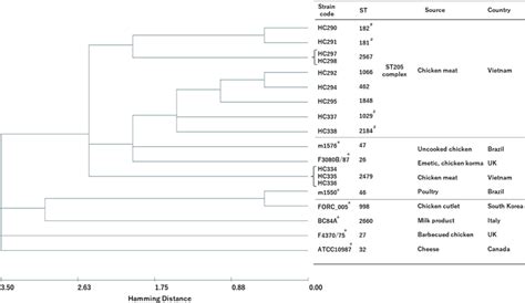 Hierarchical Cluster Analysis Of B Cereus Isolates This Tree Based On Download Scientific