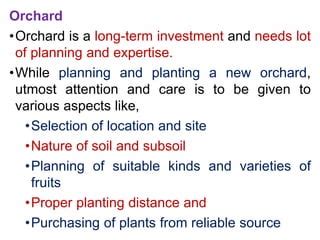 PLANNING AND LAYOUT OF AN ORCHARD Pptx PLANNING AND LAYOUT OF AN ORCHARD Pptx