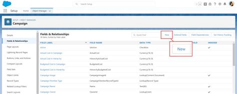 Add Months To Date In Salesforce Using Addmonths