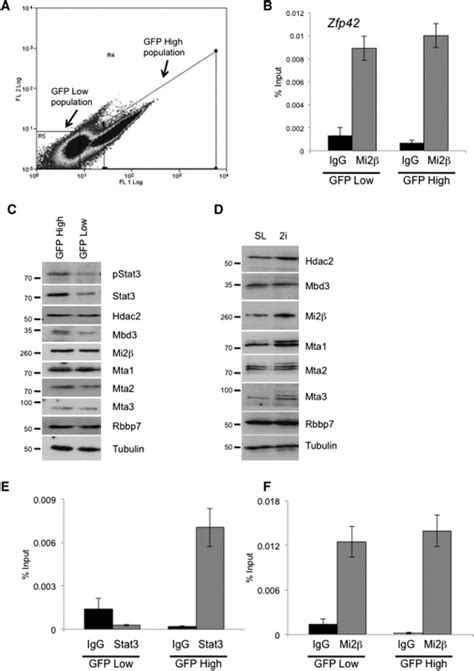 Variable Gene Expression Correlates With Variable Activator Activity