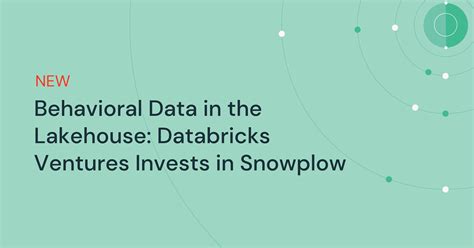 databricks invests in snowplow databricks blog