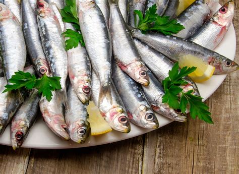 Sardines For Healthy Skin At Tami Lumley Blog