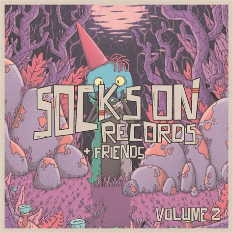 Socks On Records And Friends Vol 2 Socks On Records