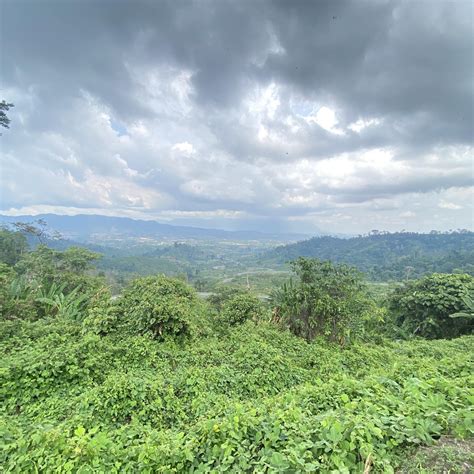 ទេសភាពស្រុកស្រែ