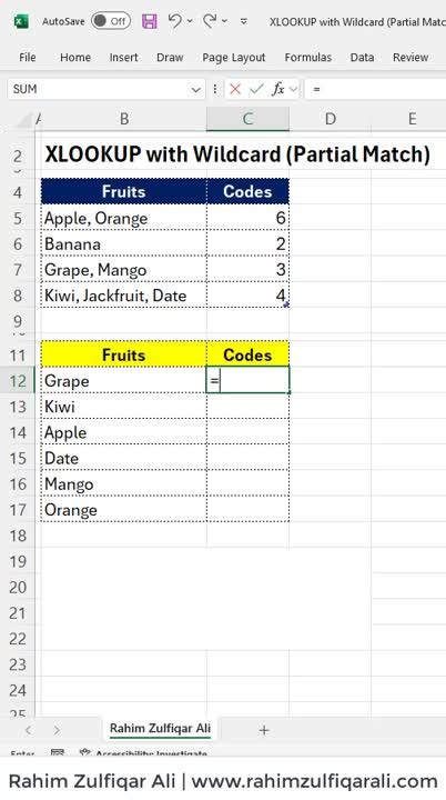 Video Rahim Zulfiqar Ali On Linkedin Xlookup With Wildcard Partial