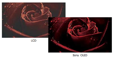Geek Out The Non Technical Technical Guide To Sony Oled Monitors By Art Adams Provideo Coalition