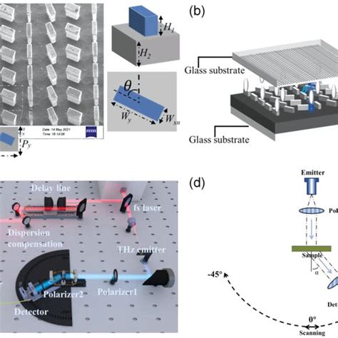 A Schematic Diagram Of Spin State Deflection For The Si Spin‐decoupled Download Scientific