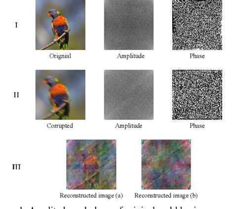 figure 1 from domain generalization with vital phase augmentation