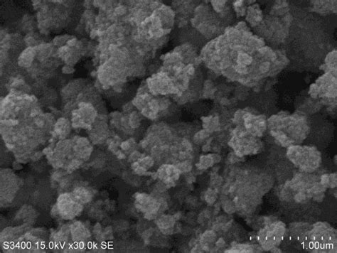 Sem Image Of Tio 2 Nanoparticles Download Scientific Diagram