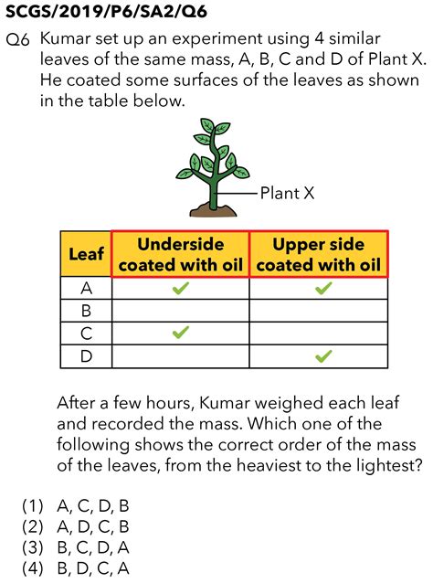 Plant Parts What Happens When A Leaf Is Coated With Oil Primary