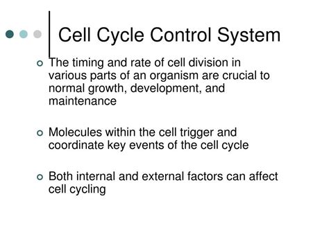PPT The Cell Cycle PowerPoint Presentation Free Download ID
