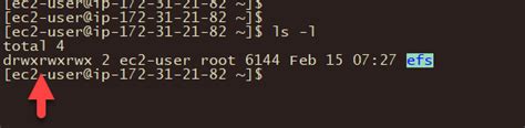 Creating An Elastic File System NFS Share On AWS Using EFS Cloud Computing Research