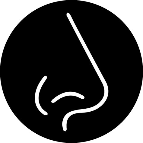 Deviated Septum Symptoms Causes Treatment And Surgery Explained