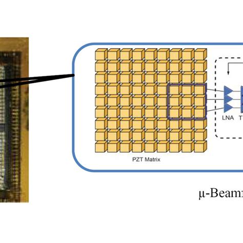 Layout Of The Custom Designed Pediatric 3d Tee Transducer Chen Et Al
