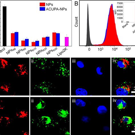 Pdf A Multifunctional Envelope Type Sirna Delivery Nanoparticle Platform For Prostate Cancer