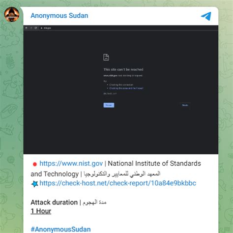Anonymous Sudan Hits Government Agency Cybernoz