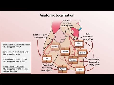 Inferior Stemi Vessel