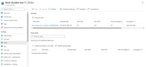 Difficulty Enabling Shared Disk Microsoft Qanda