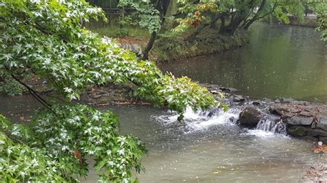 최인식 욕심이 과하면 마음이 다친다 내 꺼 아닌 것에 욕심 내지 말자 소유하려는 생각 때문에 마음도 몸도 힘들어 하니까