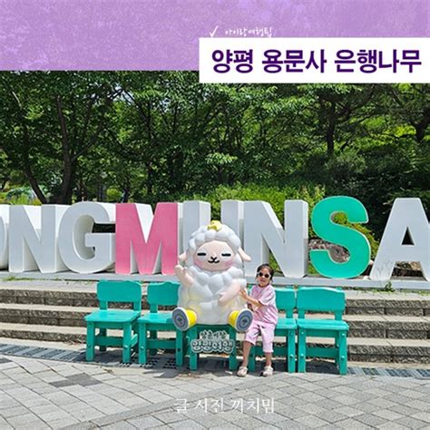 양평 용문산 관광단지 용문사 은행나무 주차 아이랑 산책하기좋은곳 네이버 블로그