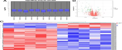 A Study On The Expression Of Messenger RNAs And Long Noncodi Journal Of Craniofacial Surgery