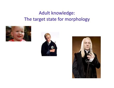 Description Of Morphologytypes Developmentand Examples Ppt