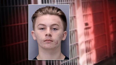 Aiden Fucci Mugshot And Trial Details Parents And Age