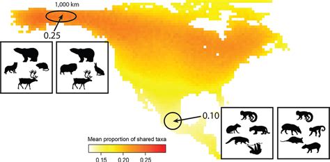 Latitudinal Patterns Of Mean Taxonomic Similarity For Modern Western