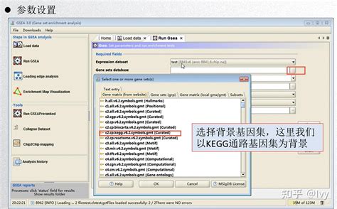 GSEA分析详细步骤 知乎