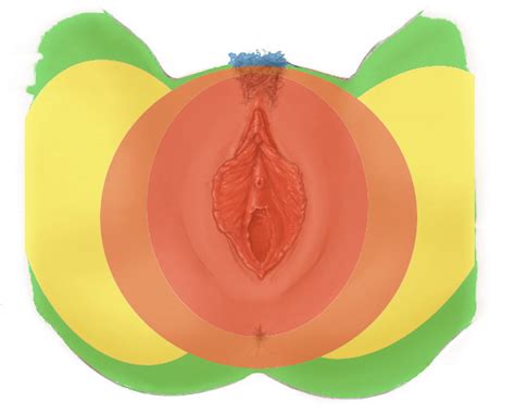 Sex Differences In The Perception Of Sexual Arousal Magazine Issue 12