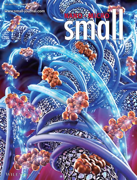 Physics Structures And Applications Of Fluorite‐structured Ferroelectric Tunnel Junctions