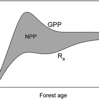 The Traditional Conceptual Model Of GPP NPP And R A As A Function Of Download Scientific
