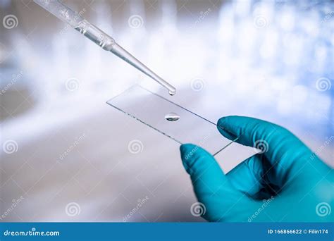 Woman In A Laboratory Microscope With Microscope Slide In Hand Stock