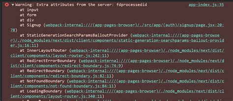 Confused In Next Js And React With Added Libraries Rnextjs