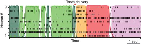Scientists Create A Model For The Neural Basis Of Expectation Sbu News
