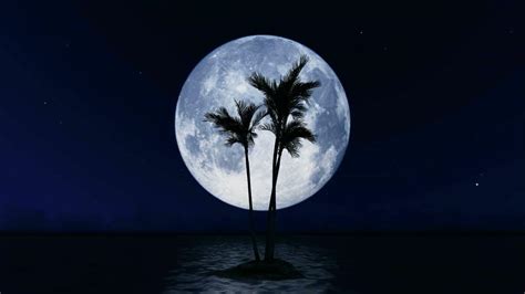 1시간 달콤로맨틱한 수면유도음악🎵5분 후 화면 암전 기절하듯 꿈속으로 편안하고 잔잔한 수면음악 꿀잠이 필요할 때 듣는 음악 스트레스 해소음악 불면증치료음악 수면유도