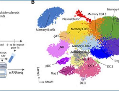Sum Seq Scalable Ultra High Throughput Single Cell Chromatin And Rna