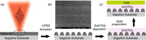 Schematic Of The Fabrication Process Employed For The Realization Of