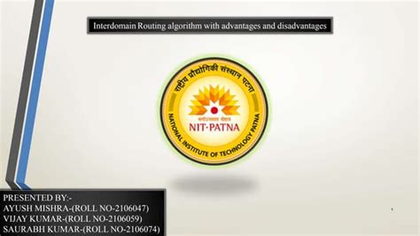 Interdomainroutingalgorithmpptx