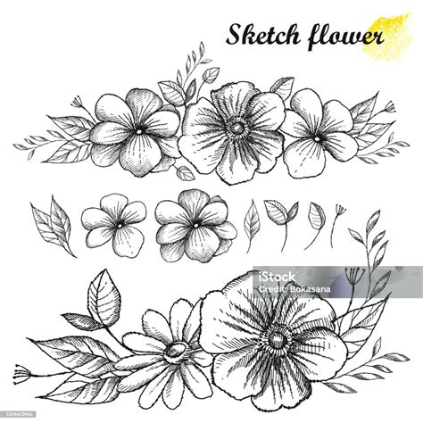 흰색 배경에 고립 된 검은 색의 꽃 수평 화환의 손으로 그린 스케치 의 벡터 세트 0명에 대한 스톡 벡터 아트 및 기타 이미지 0명 개체 그룹 개화 Istock