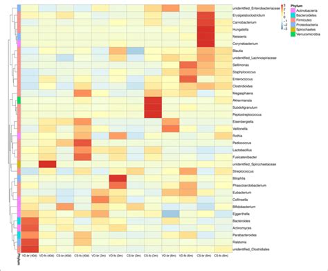 The Otus Heatmap At Genus Level The Relative Abundance Of Otus Was