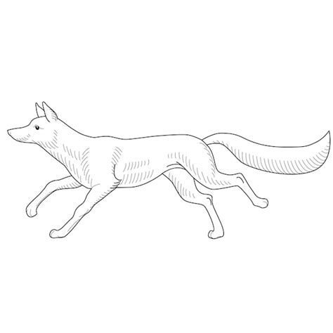 Premium Vector Vector Black And White Contour Illustration Of Running Fox