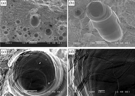 Distribution And Morphology Of Fracture Porosity A Fracture Pore