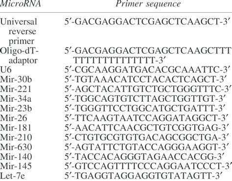 Primers Used For The Quantitative Polymerase Chain Reaction Of MicroRNA Download Table