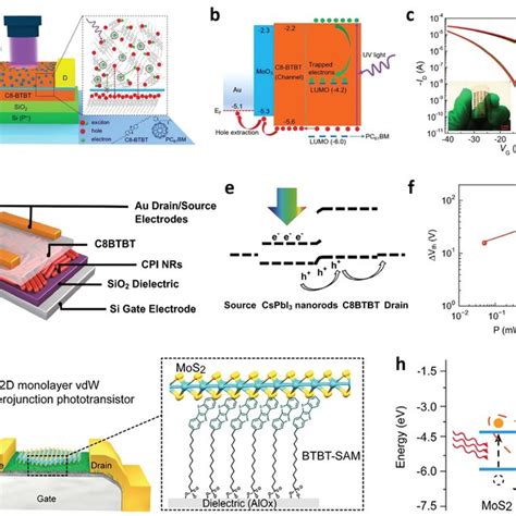 Organic Based Photodetector A Schematic Illustration Of The Hl Opt Download Scientific