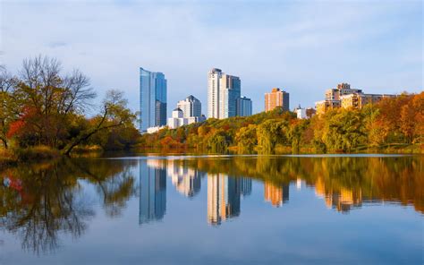 Reforestation And Wetland Restoration Program Environmental