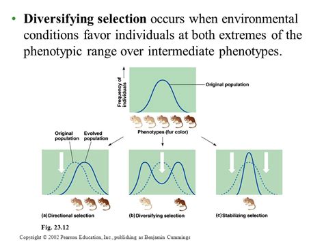 Chapter 23 The Evolution Of Populations Ppt Download