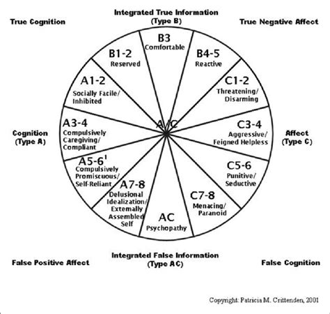 a dynamic maturational model of patterns of attachment in adulthood